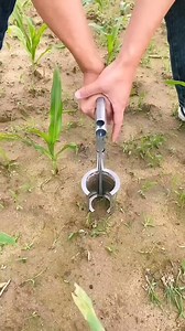 Good Seedling Planting Tools for Rural Farmer Corn Farming #virals #fypviralシ | Md Samim Ashraf 02