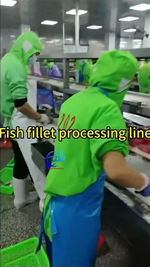 Fish fillet processing line, fish processing conveyor, automatic fillet production line