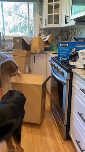 DIY Privacy Wall Tutorial #privacyscreen #patiotransformation #patiovibes #patioproject #TostitosUnspok | Myra Ayers