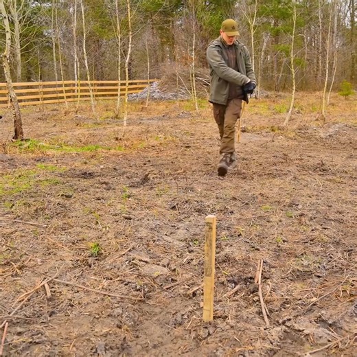 66K views · 1.5K reactions | A man spends a year building the log cabin of his dreams, from beginning to end, by himself in the forest. | Bushcraft Camp | Facebook