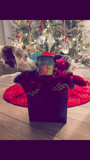 Check out Tupperware this Holiday Season! #giftseasonready #TupperwareSolutions #Tupperware #holidayseason | Doug Palenica