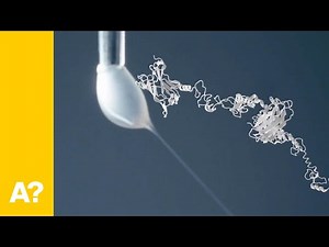 The New Road to Silk: Bio-based production of silk like materials.