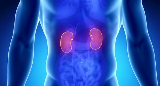 Importance of Treatment