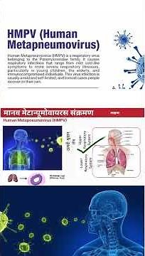 What is hMPV? | Explained Human Metapneumovirus | HMPV Virus