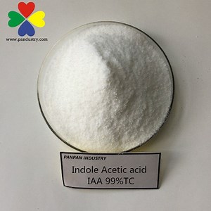 [Hot Item] Function of Indoleacetic Acid Iaa Indoleacetic Acid Bacteria