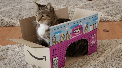 Brand Innovation Lab: Custom advertising solutions | Amazon Ads