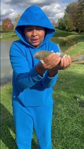 Why my not getting no more views anymore