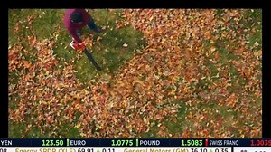 WeatherTech FloorLiner & Cargo Liner TV Spot, 'Falling Leaves'