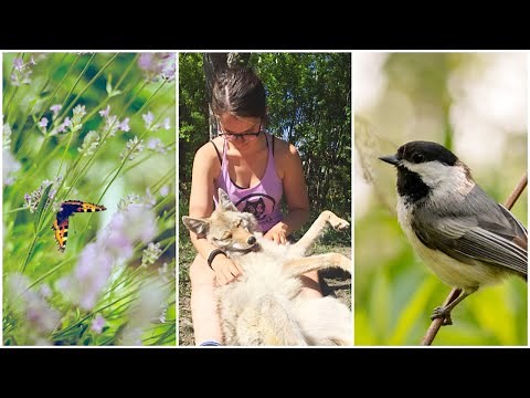 How to Save Animals 101 // sustainable living