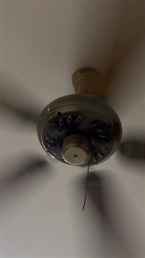 Elmark uk buzz on hi speed