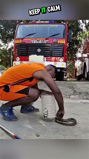 How to Safely Catch a Snake? #shorts