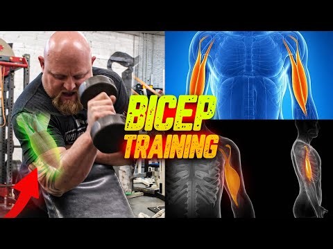 How to Build Bigger Biceps: Workouts You Need to Know