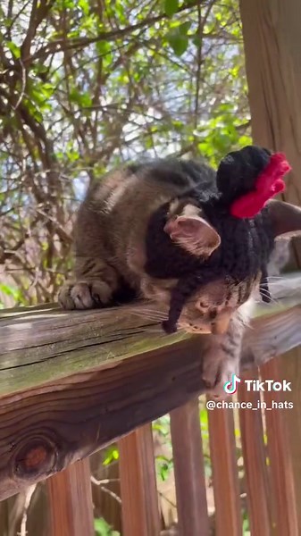 Azula Always Lies - The Deception of the Fire Nation Princess