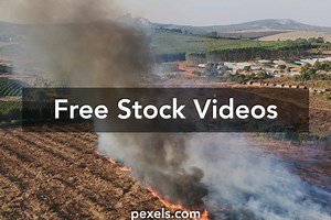 Scroller+Smoking+Hot Videos, Download The BEST Free 4k Stock Video Footage & Scroller+Smoking+Hot HD Video Clips