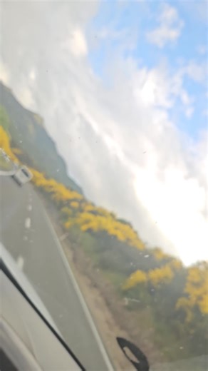 heatherbryant3323 (@heatherbryant3323)’s videos with original sound - heatherbryant3323