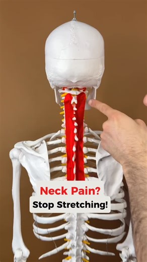 Dr. Joe Damiani - TMJ, Head & Neck Specialist on Instagram: "If stretching keeps making your neck or back pain worse, this is why. Comment “QUIZ” and I’ll send you my root cause quiz. 🧠 Why stretching isn’t the answer When you’re in pain, the issue usually isn’t that your muscles are too tight — it’s that they’re not coordinated. Pain-free movement starts with retraining the deep muscles that sit directly on the spine. These muscles control precise neck motion and create stability before bigger