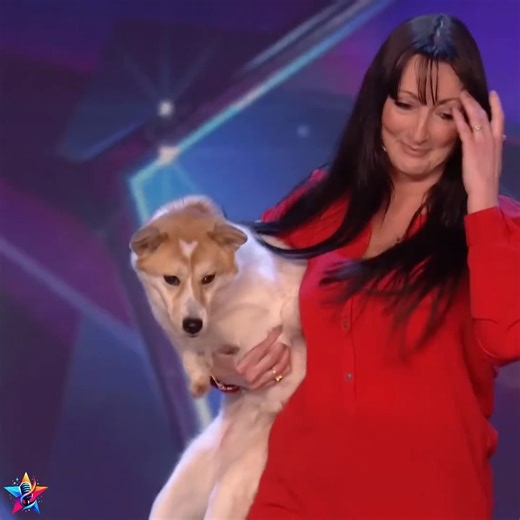 Magical dog proves MIRACLES do exist | This is Talent