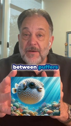 16 reactions | What Is A Blobfish? Did you know there's a fish that...