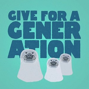 Choose a gift that will help make a difference this Christmas. Membership helps fund our education and conservation projects - working to conserve and protect our amazing marine habitats and precious wildlife. 🌊🌎💙 Benefits include free access to our all new Discovery Experience, opening in December, where you can learn more about the wonders of Scotlands marine environment. A gift you can feel good about. https://bit.ly/2Oj8vWh | Scottish Seabird Centre