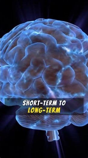 How Deep Sleep Locks In Your Memories