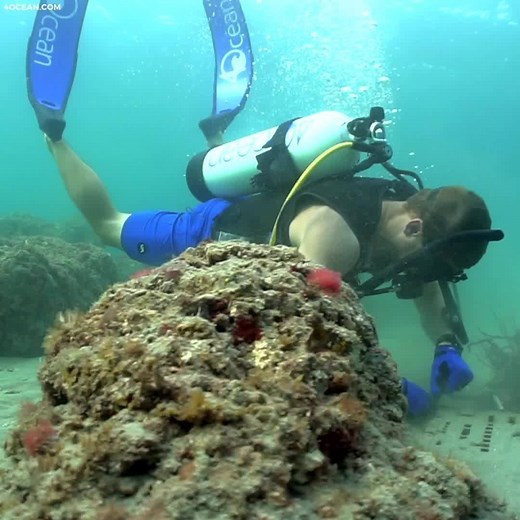 688 reactions · 176 shares | 4Ocean has removed over 500,000 pounds of trash from the ocean and coastlines, and we’re just getting started! Join the 4Ocean movement and help support our efforts to clean our oceans! | 4ocean | Facebook