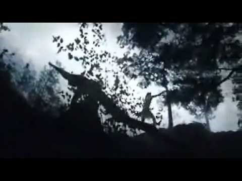Cesta bojovníka (2007) - trailer
