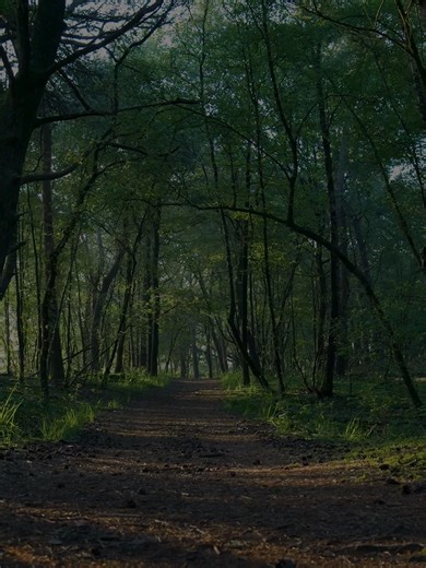 @5STAR INTERNET HUB MOLO SOUTH