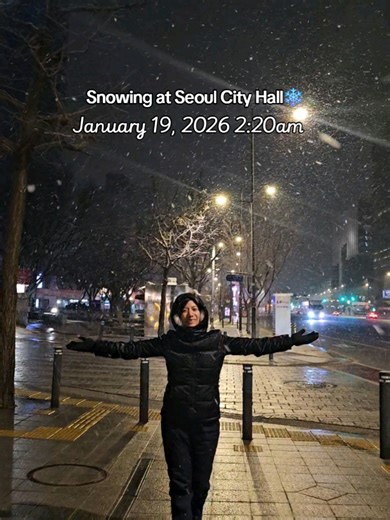 Snowing at Seoul City Hall: A Winter Wonderland