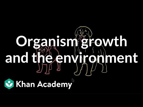 Organism growth and the environment | Middle school biology | Khan Academy