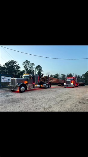 Flash x Clifford 2026 crossover 😎 #601largecars #peterbilt #thechromeshack #bigrig #peterbilt389