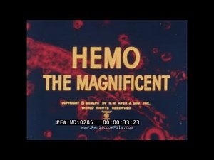" HEMO THE MAGNIFICENT ” 1957 BELL SCIENCE SERIES FILM WORK OF THE BLOOD PART 1 MD10285