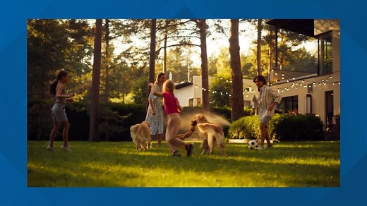 Lawn makeover: How to keep ticks at bay in your backyard