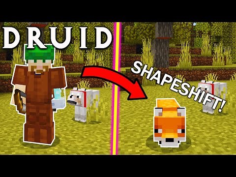 Become the MYSTICAL DRUID RPG Class in Minecraft with Command Blocks