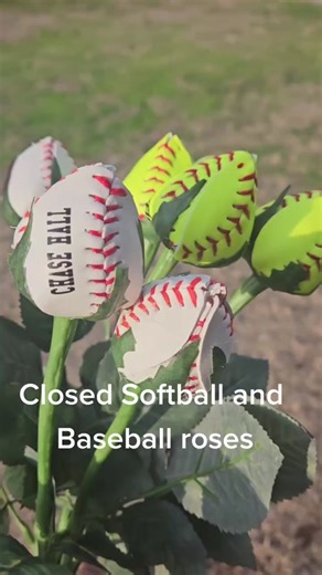 Customized Sports Roses - Baseball & Softball Gift Ideas