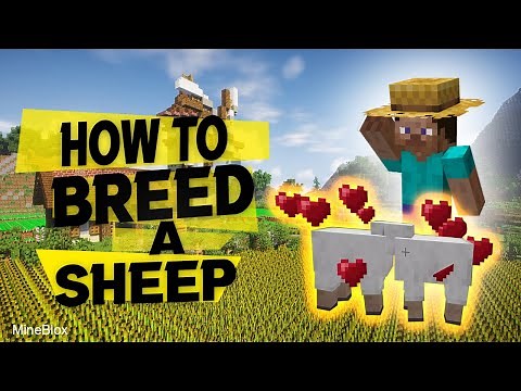 How to Breed Sheep in Minecraft: Get Wool and Mutton for Your Adventures!