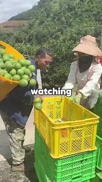 People who have explored Area 51, what horrifying secrets do you know?