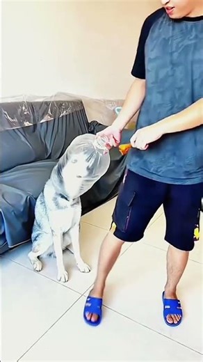 Funny bit backfire 🎊 Story’s way too good! #fyp #viral #comedyclips #funny #laughs