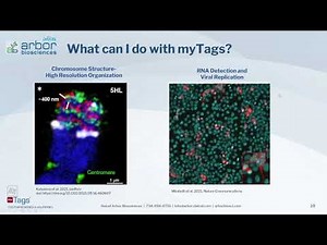 myTags in situ Hybridization Probes - Applications and Services