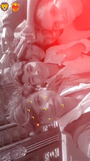 virtual reality videos