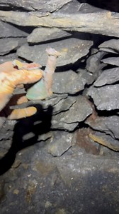 233K views · 4.5K reactions | This is such a historic piece of underground mining history I found. Shows the primitive ways when mining was in its infancy in Birmingham #underground #abandoned #history | Underground Birmingham | Facebook