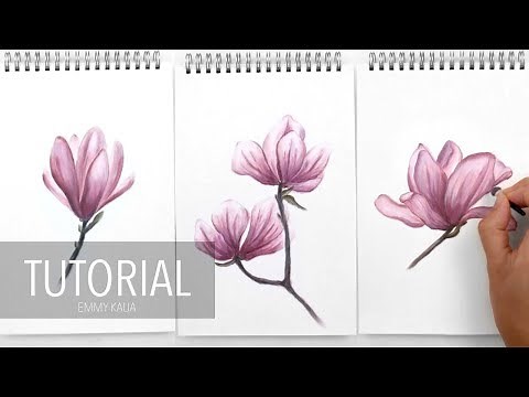 How to draw Flowers with Panpastel and Colored pencils