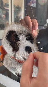 Amazing double-sided embroidery!😍 🤯 Art by 1645713330 (Döuyin) | Mon oeil et le tien