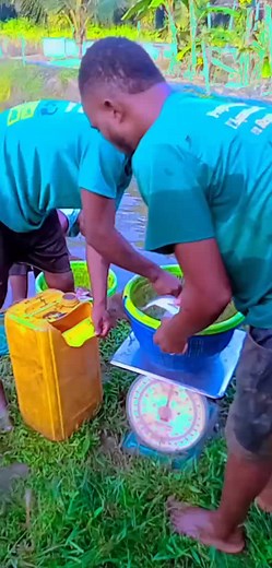 Vidéos de jeanpoisson (@jeanpoisson) avec Travailler - Magic System