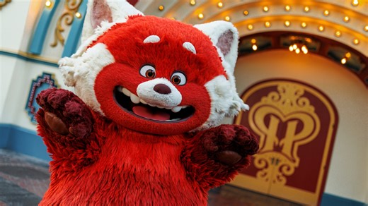 Red Panda Mei Meets With Guests for the First Time at Disneyland Resort