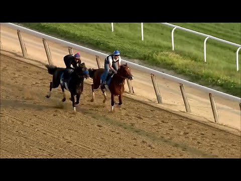 Pretty Mischievous 4f breeze at Belmont Park - June 3
