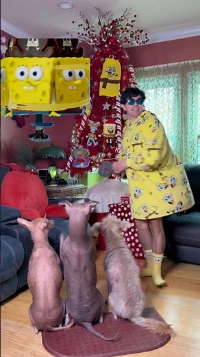 NEW SpongeBob the Movie Dancing & Performing “ BIG GUY” Song to My DOGS #newspongebobmovie #icespice