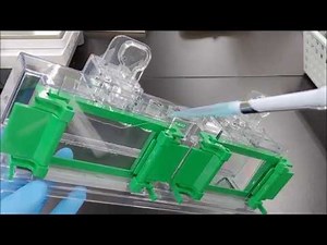 SDS-PAGE Stacking Gel 만들기 (2019년 4월 10일 수업)