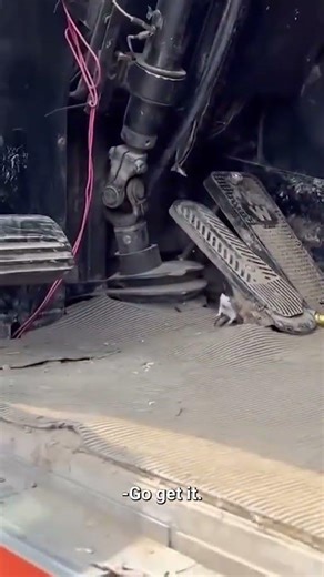 Amber’s Rat Infested Semi Truck😱 #trucks #trucker #peterbilt #scania #trending #viralvideo