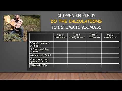 Biomass Calculations