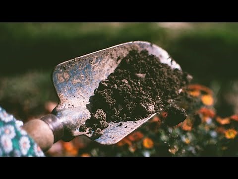 The Benefits of Johnson-Su Bioreactor Compost | Dr. David Johnson